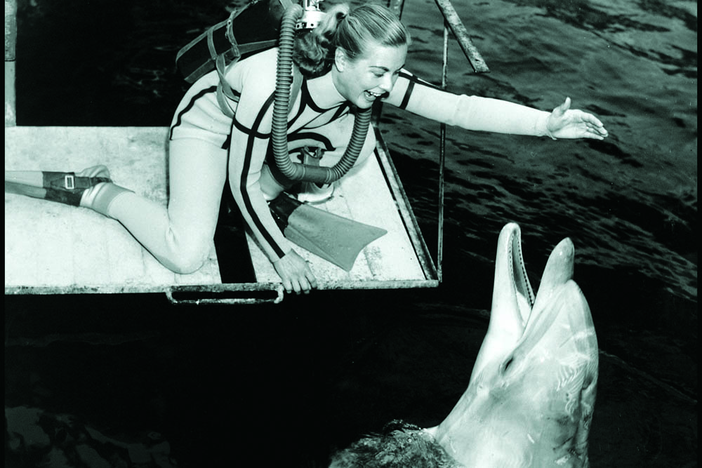 Zale Perry - SDI | TDI | ERDI | PFI