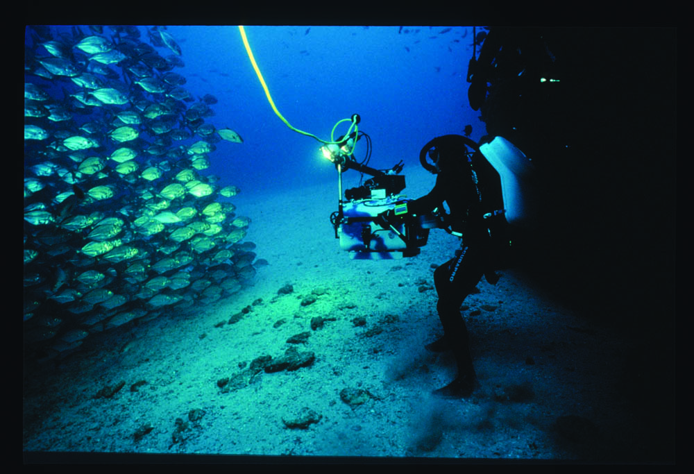 Howard Hall - SDI | TDI | ERDI | PFI