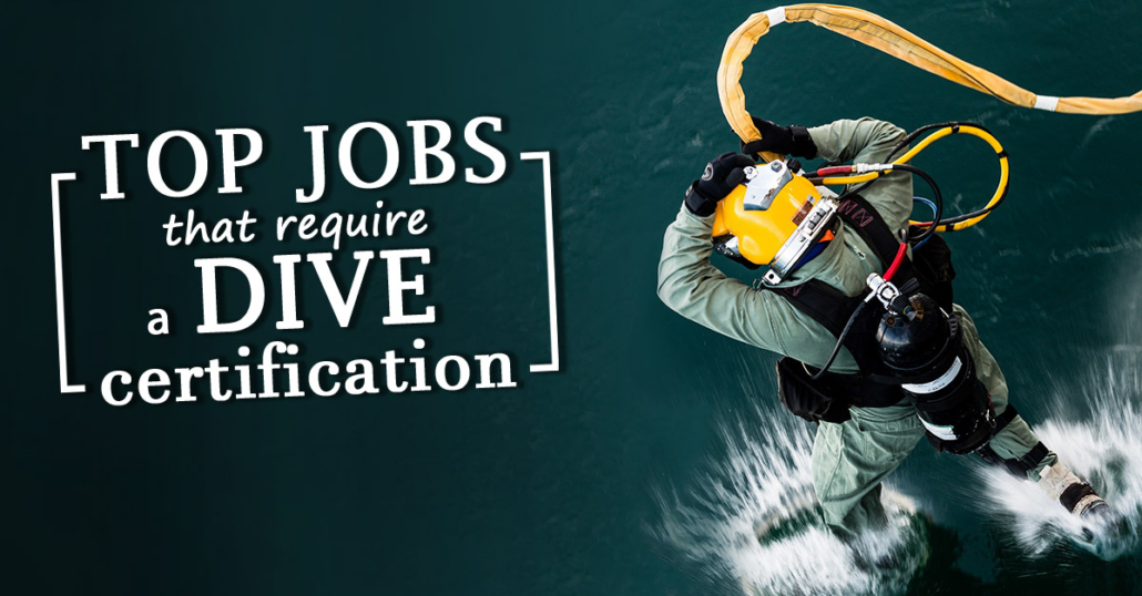Dive into Opportunity: Exploring the Top Jobs in Scuba Diving - SDI