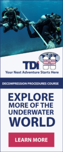 TDI Home - International Training - SDI | TDI | ERDI | PFI