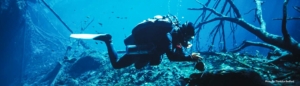 TDI Decompression Procedures Diver
