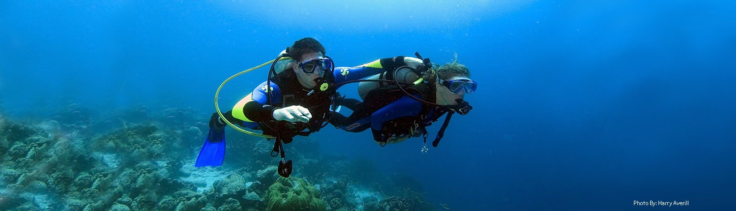 SDI Scubility Instructor