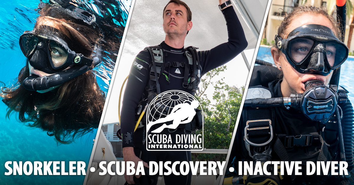 SDI Launches 3 NEW eLearning Courses