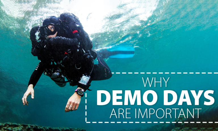 Why DEMO Days Are Important