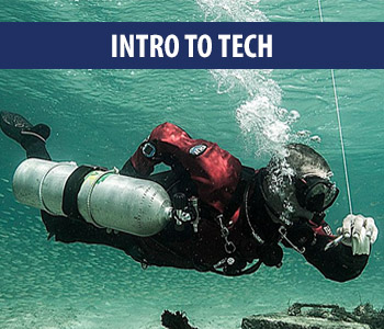Learn to Scuba – International Training – SDI | TDI | ERDI | PFI