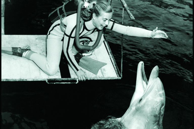 Zale Perry - International Training - SDI | TDI | ERDI | PFI