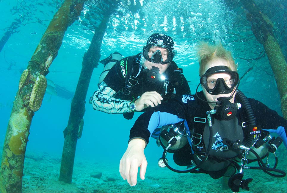 Clipping: A Vital Skill for Fluid Diving