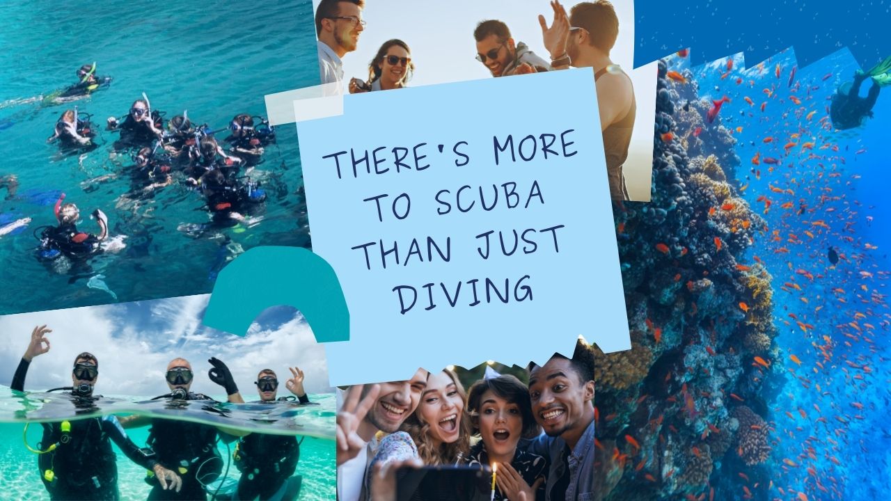 There is More to Scuba Than Just Diving