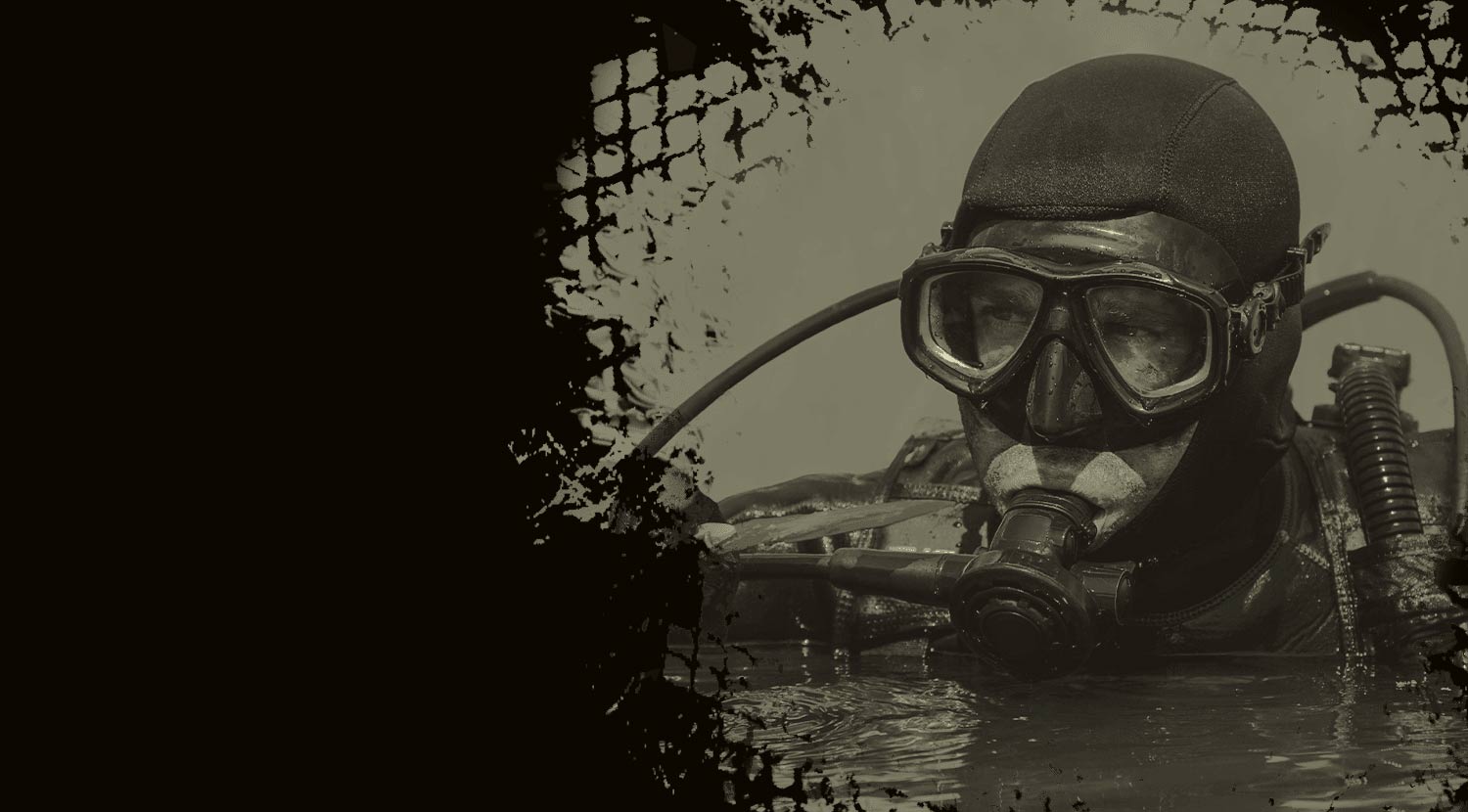 Learn to Dive - International Training - SDI | TDI | ERDI | PFI