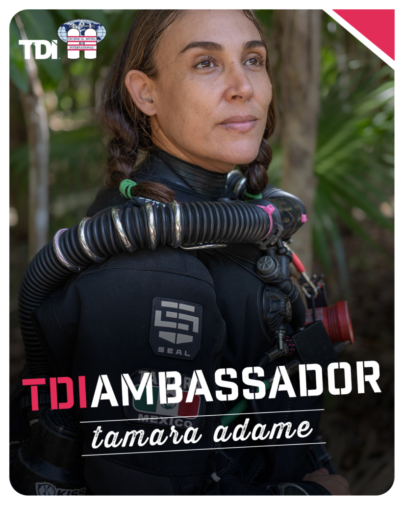 Introducing the 2024 TDI Ambassadors - International Training - SDI | TDI | ERDI | PFI