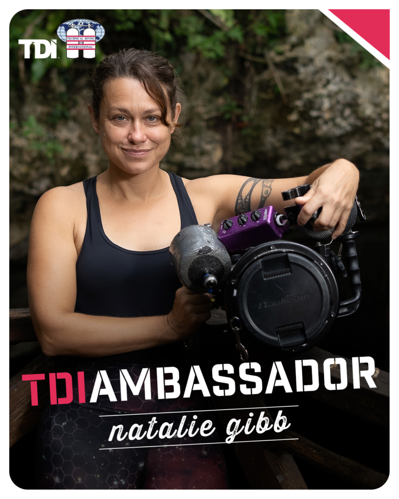 Introducing the 2024 TDI Ambassadors