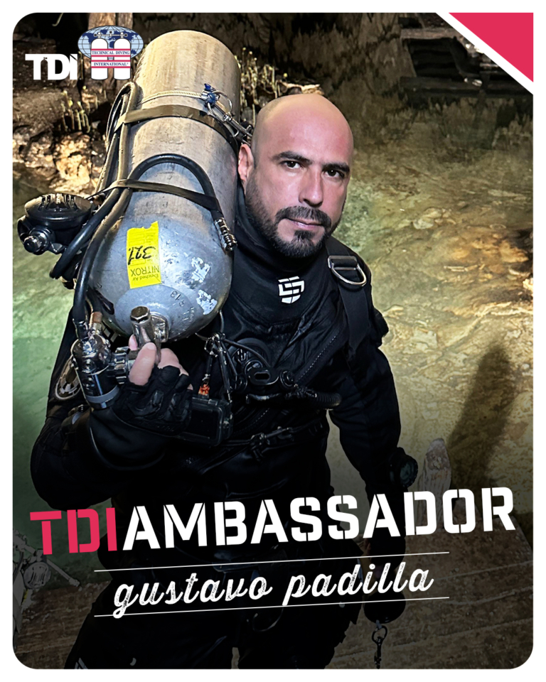 Introducing The 2024 Tdi Ambassadors