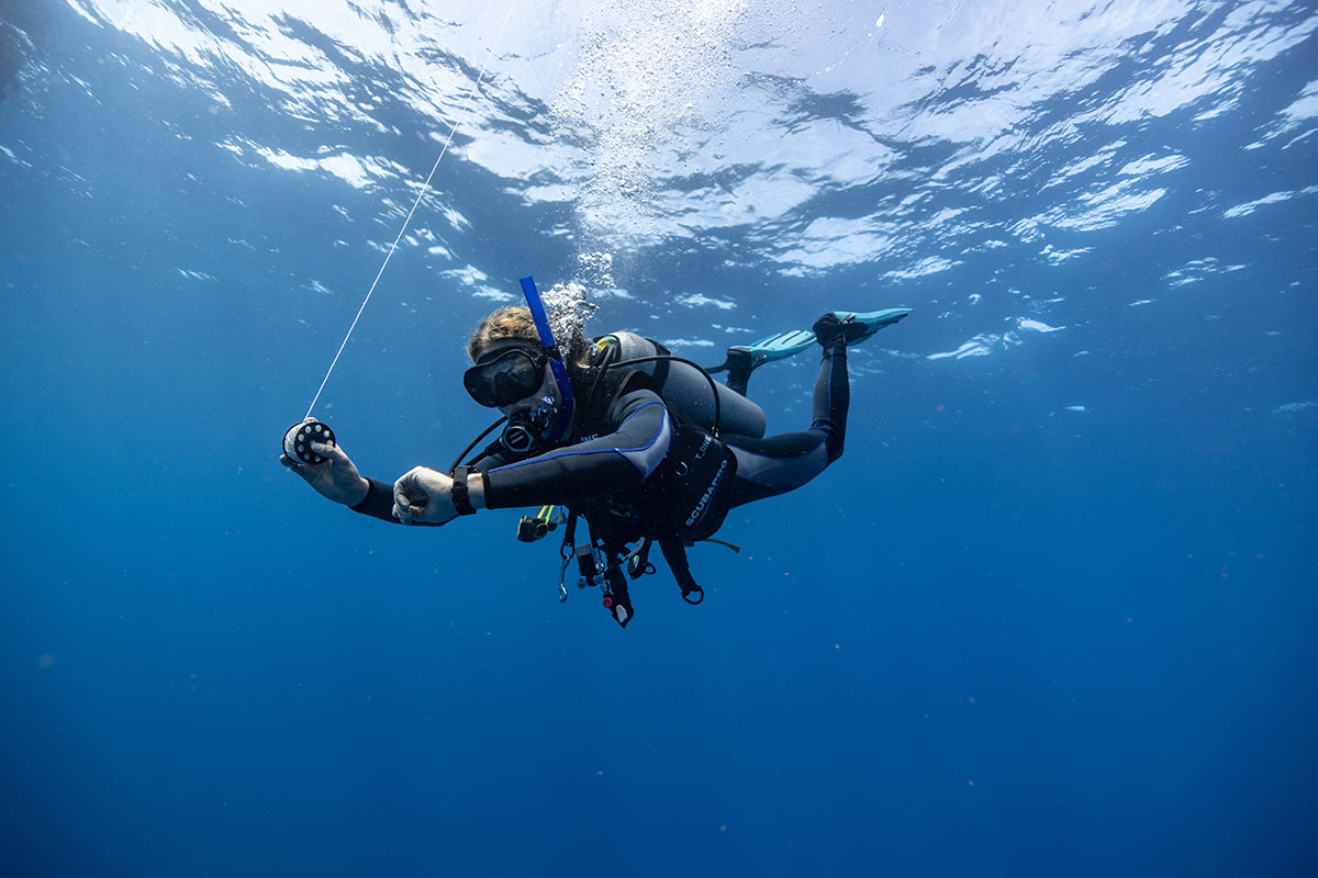 SDI Elite Scuba Instructor - Scuba Diving International New Rating