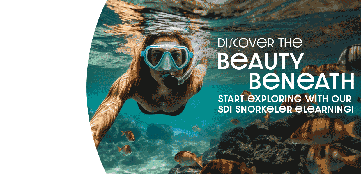 Learn to Dive - Scuba Diving Certification - SDI, TDI, ERDI, PFI