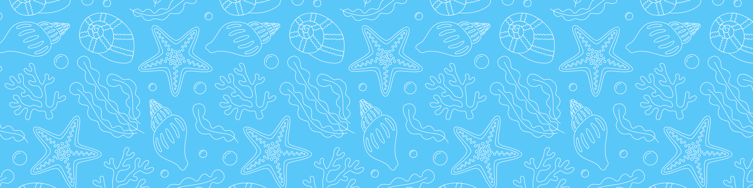 Learn to Dive - Scuba Diving Certification - SDI, TDI, ERDI, PFI