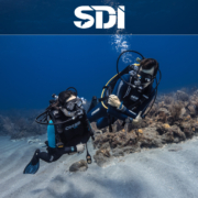Courses - Scuba Diving and Freediving Training